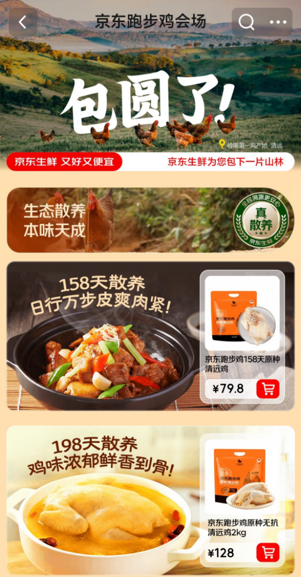 包下十几片山头养鸡！京东生鲜“包园”清远跑步鸡，每只鸡多返3元给农户_发现频道_中国青年网