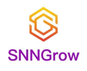 SNNGrow生长低功耗脉冲神经网络类脑仿真和训练框架 开源发布_发现频道__中国青年网